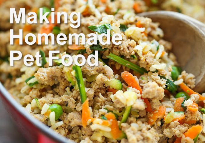 Iberzoo+ProPet | Petsourcing